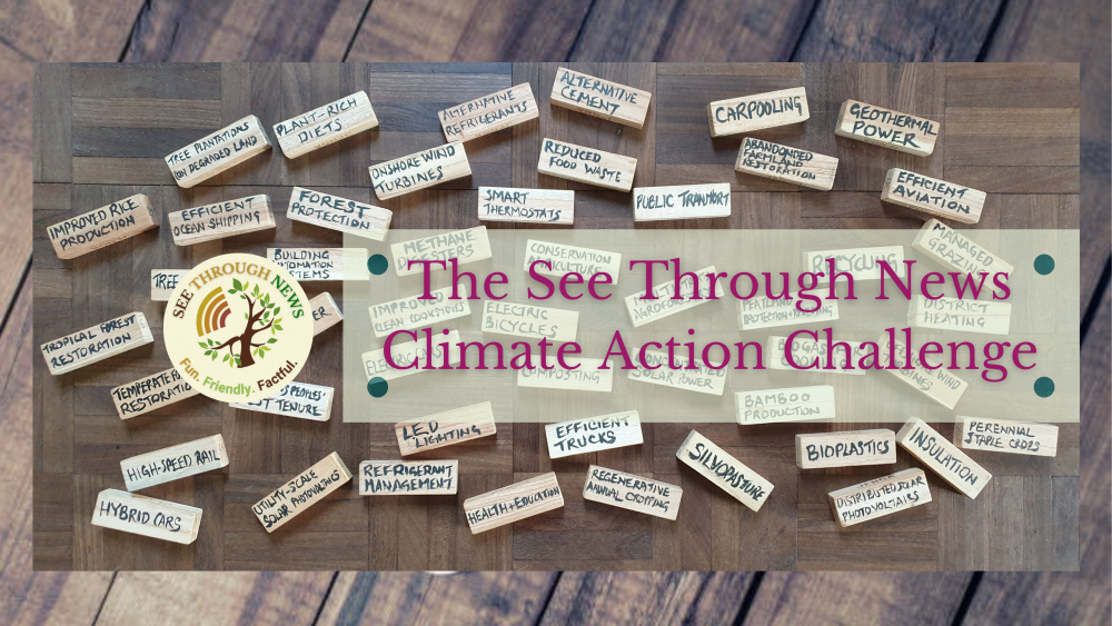 Learn Game step 2 to Effective Climate Action video game